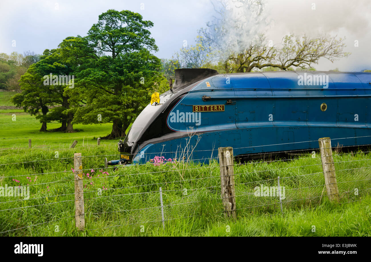 A4 class 'Bittern' steam train on the Wensleydale railway Stock Photo ...