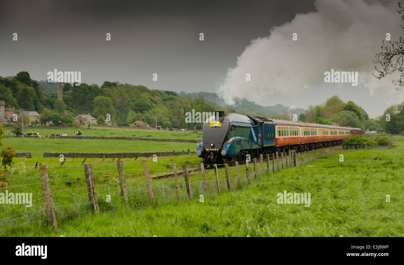 A4 class 'Bittern' steam train on the Wensleydale railway Stock Photo ...