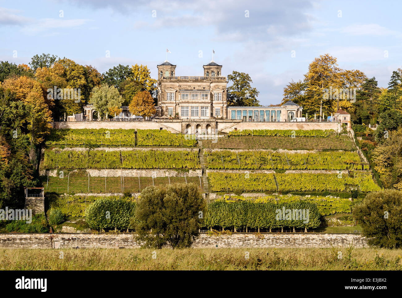 Elbe valley dresden hi-res stock photography and images - Alamy