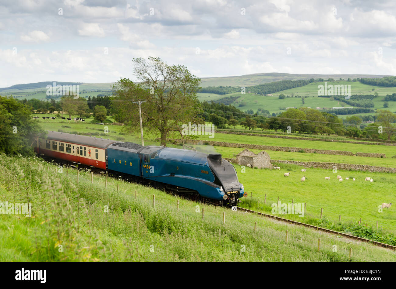 A4 class 'Bittern' steam train on the Wensleydale railway Stock Photo ...