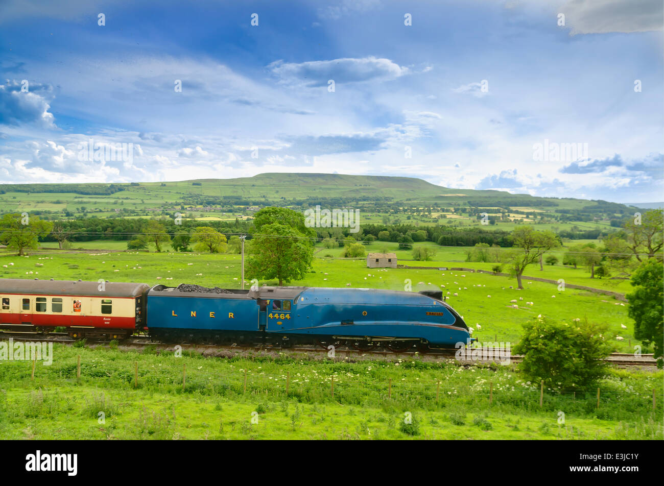 A4 class 'Bittern' steam train on the Wensleydale railway Stock Photo ...