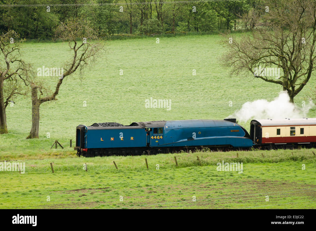 A4 class 'Bittern' steam train on the Wensleydale railway Stock Photo ...