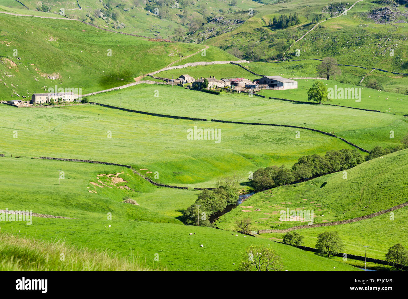 Yorkshire dales farm hi-res stock photography and images - Alamy