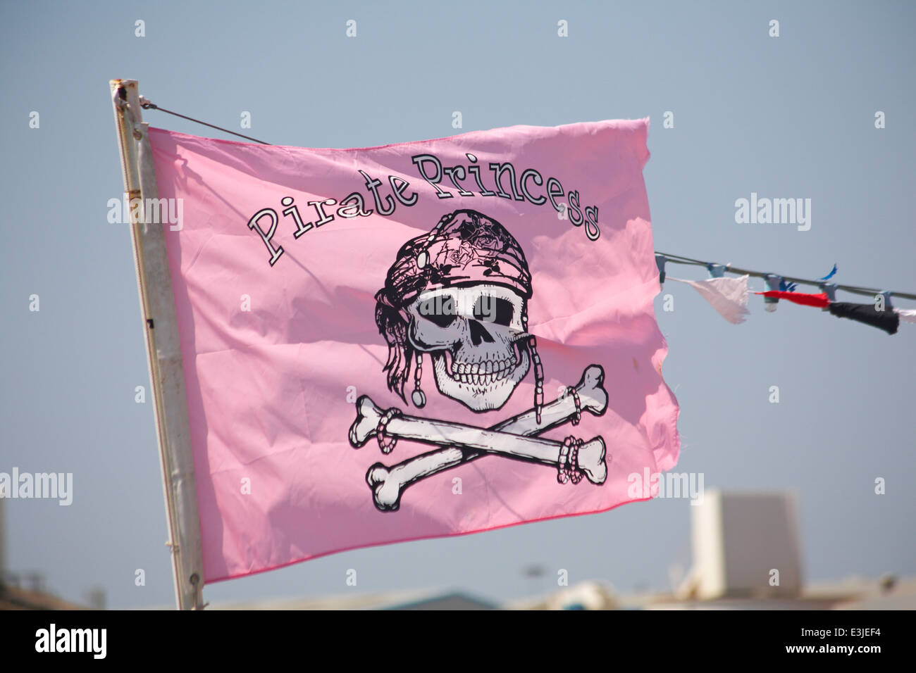 Pink Skull And Crossbones Flag