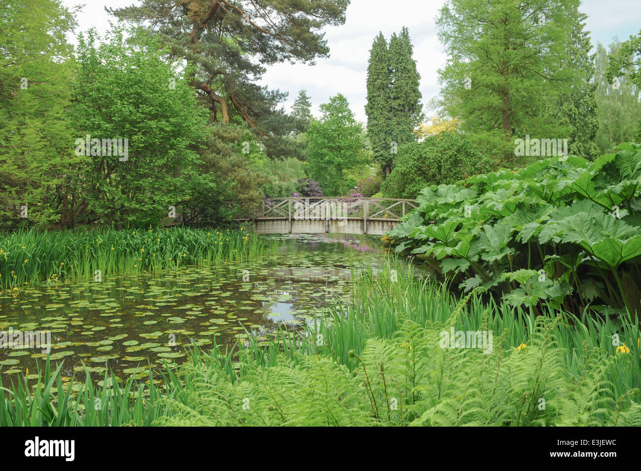The grounds of Tatton Park in Spring, next to Knutsford in Cheshire ...