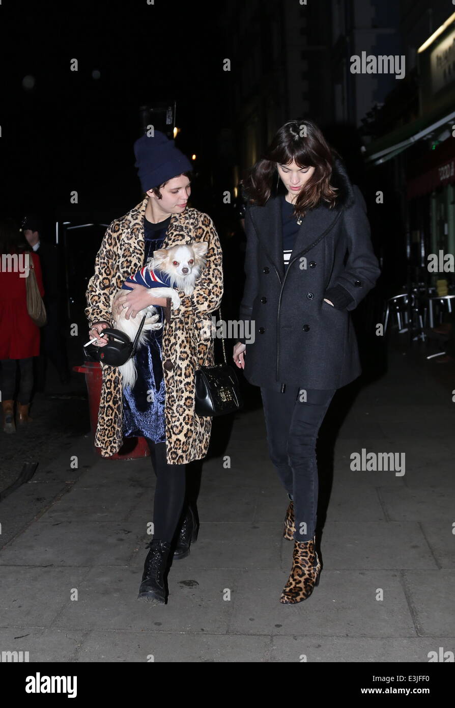 Celebrities at the Primrose Hill Winter Fair Featuring: Alexa Chung and ...