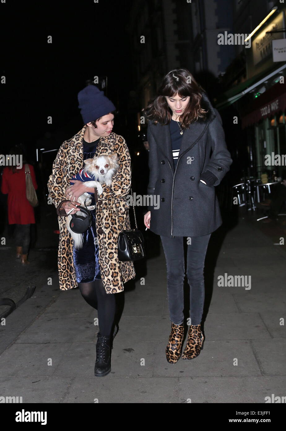 Celebrities at the Primrose Hill Winter Fair Featuring: Alexa Chung and ...