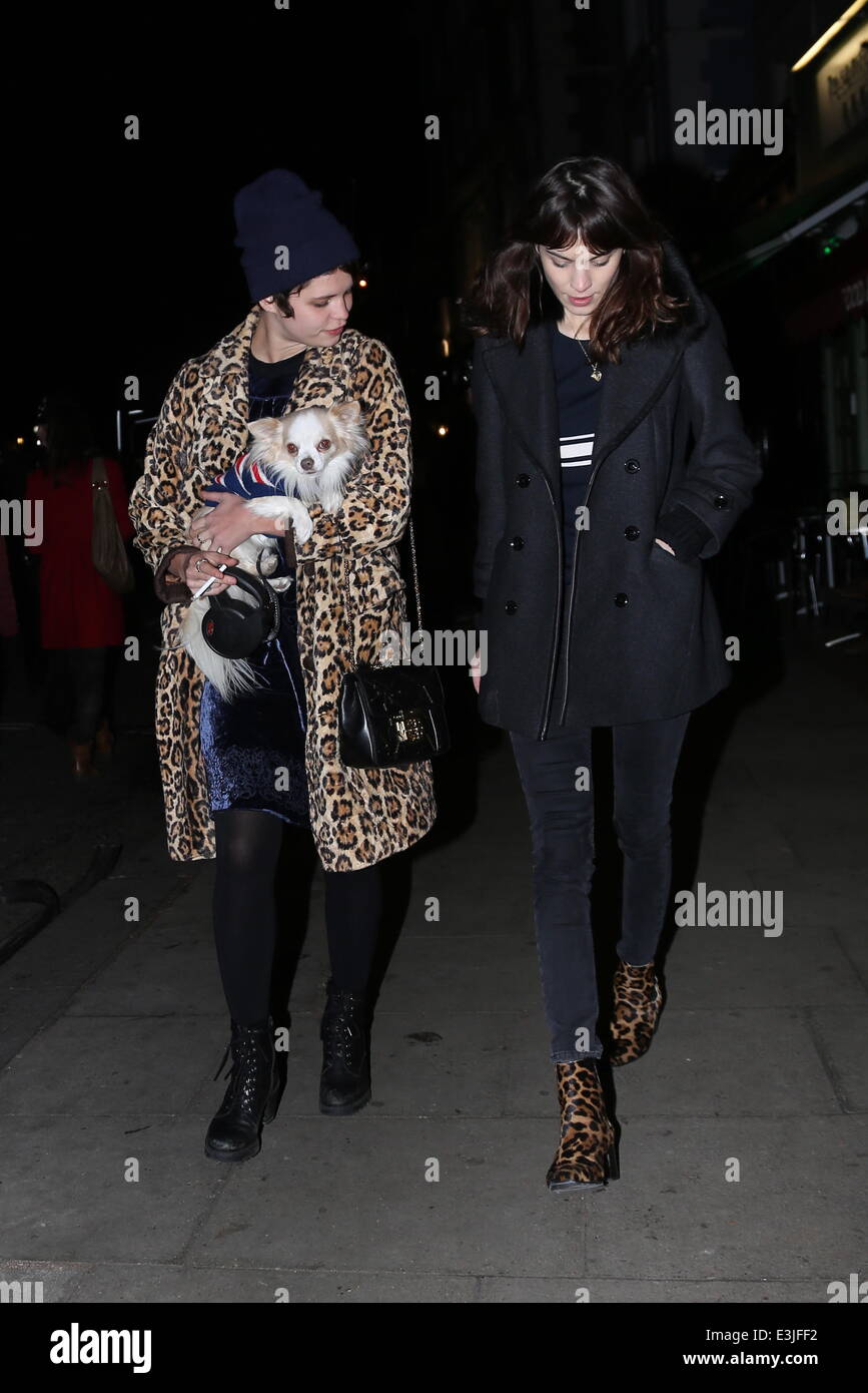 Celebrities at the Primrose Hill Winter Fair Featuring: Alexa Chung and ...