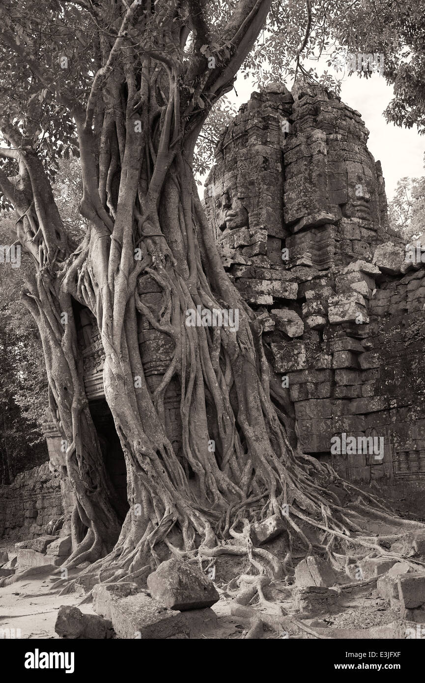 Ta symbol hi-res stock photography and images - Alamy