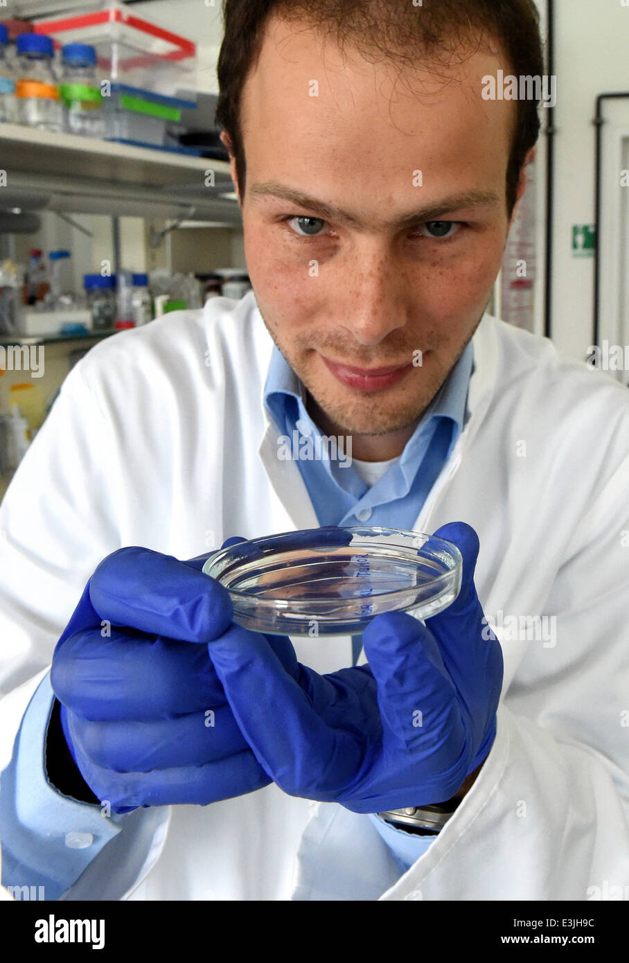 Kiel, Germany. 23rd June, 2014. Evolutionary biologist Alexander ...