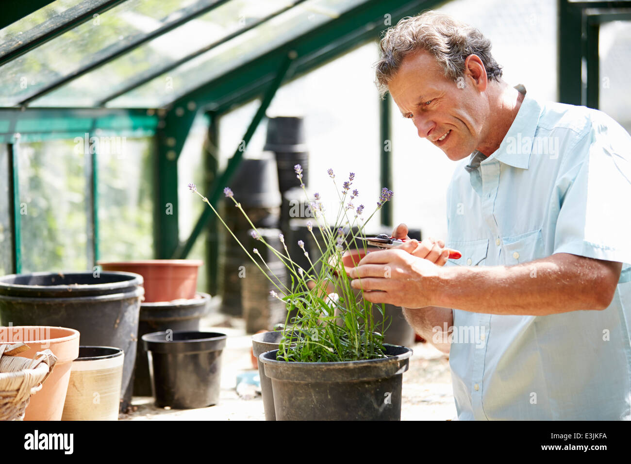 Working middle aged man smiling hi-res stock photography and images - Alamy