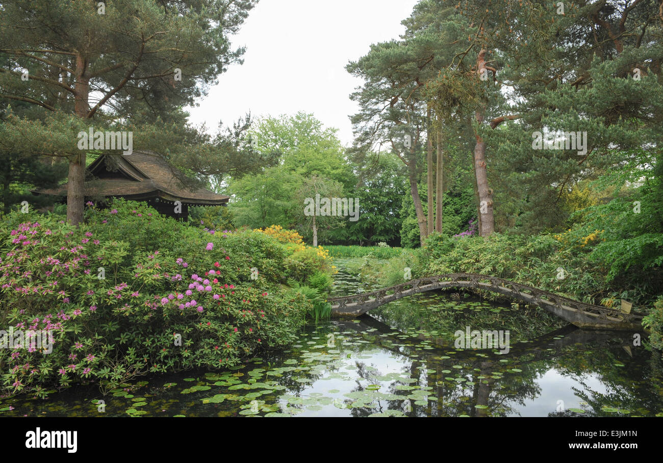 Tatton park japanese spring hi-res stock photography and images - Alamy
