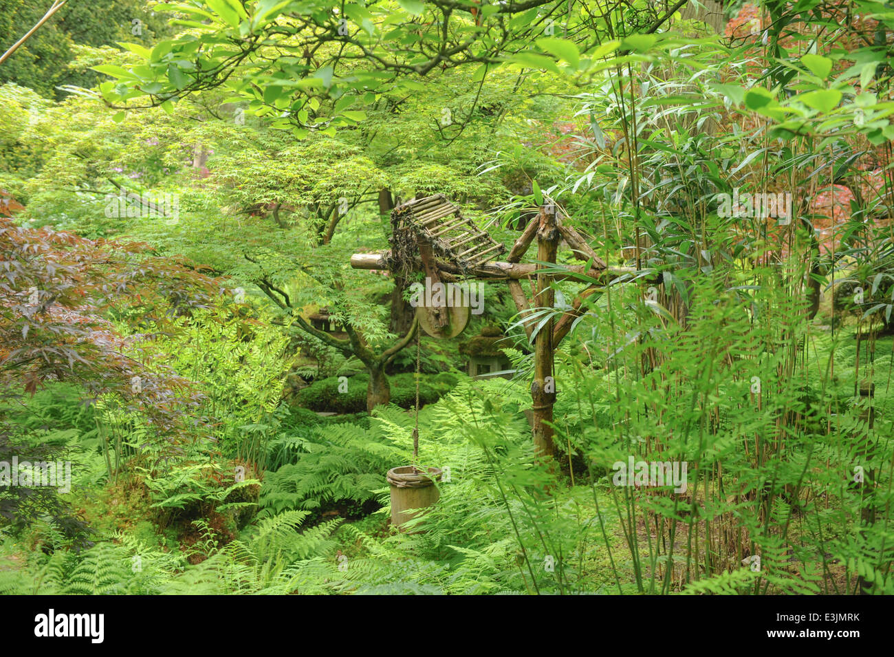 Tatton park japanese spring hi-res stock photography and images - Alamy
