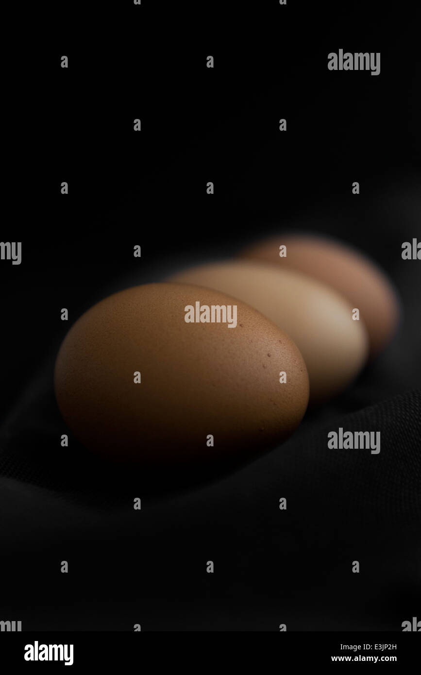 Black hens egg hi-res stock photography and images - Alamy