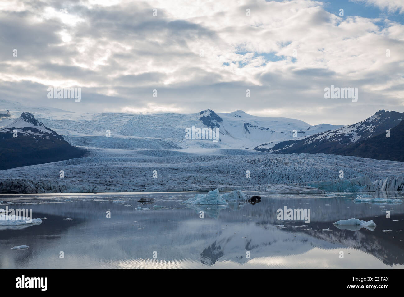 Blue tonque hi-res stock photography and images - Alamy