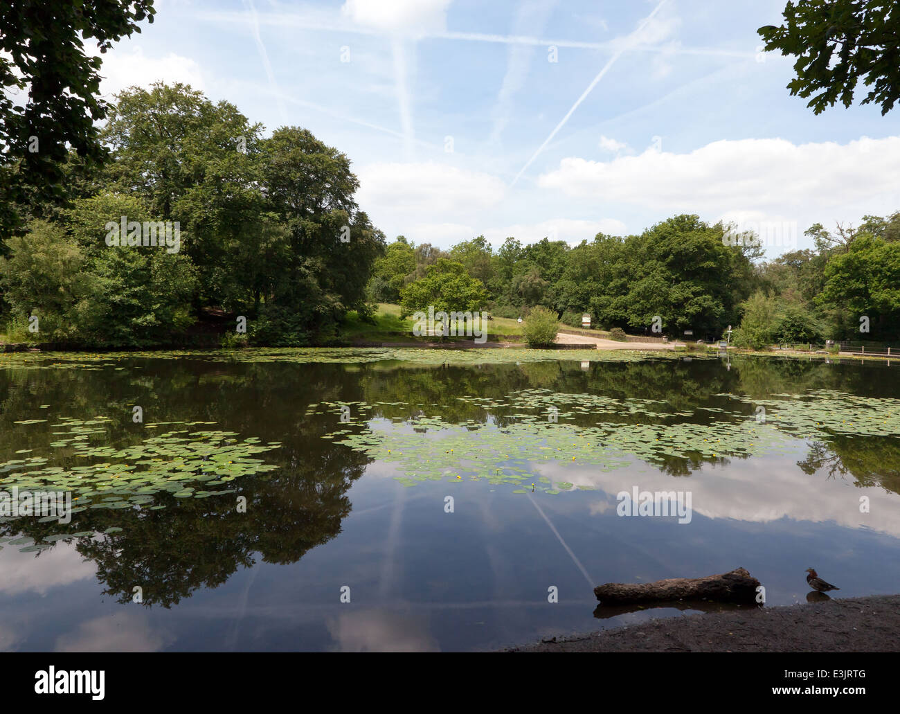 Scenic view of Keston Ponds nature Reserve Stock Photo - Alamy