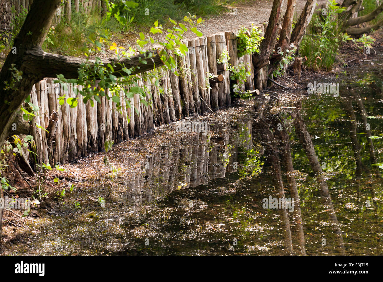 Keston Ponds, Bromley Kent High Resolution Stock Photography and Images ...