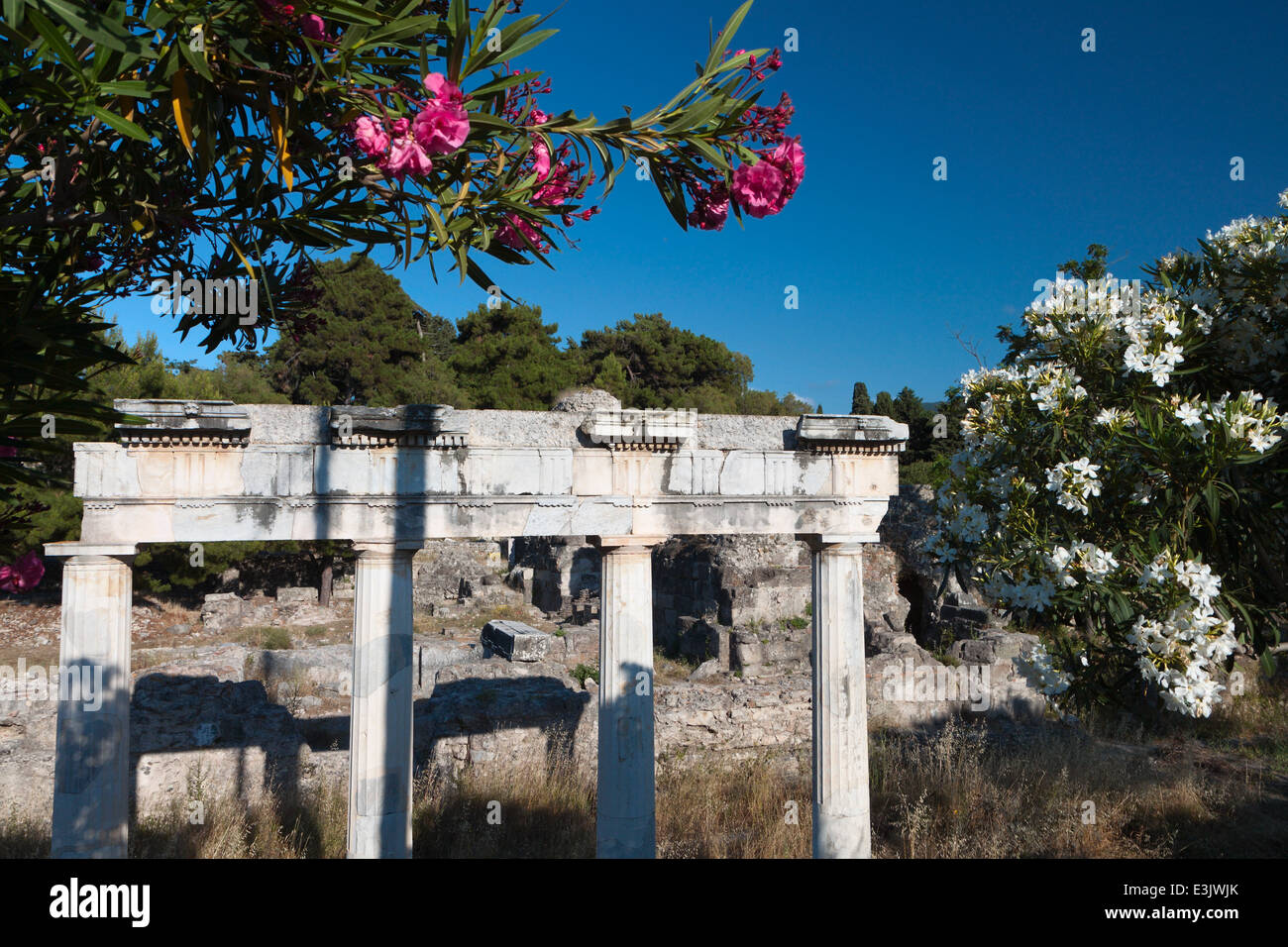 Greek Gymnasium High Resolution Stock Photography and Images - Alamy