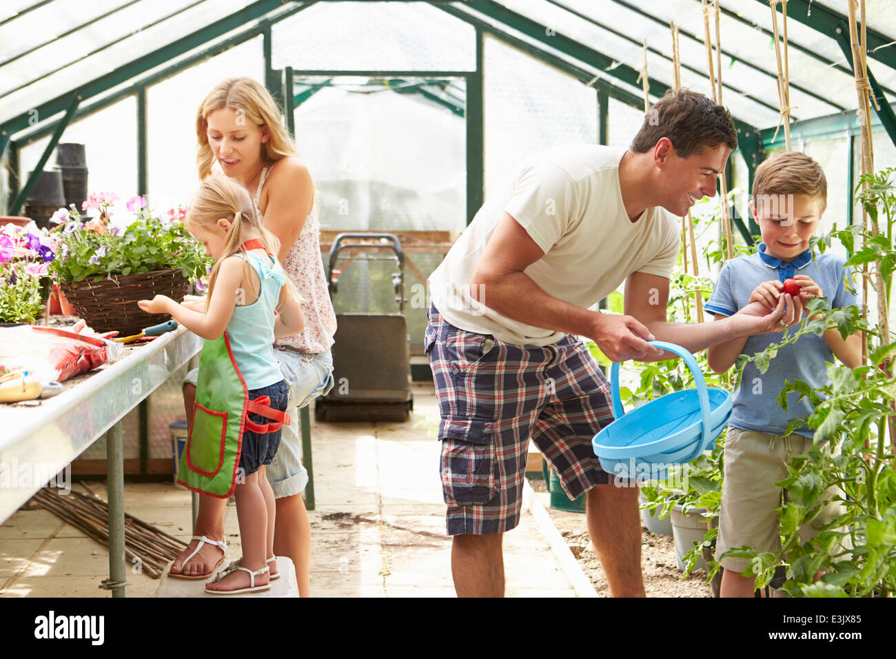 Family Working Together In Greenhouse Stock Photo - Alamy