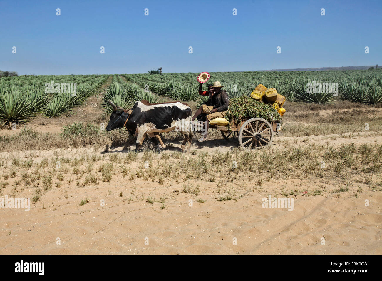 Primitive Subsistence Farming