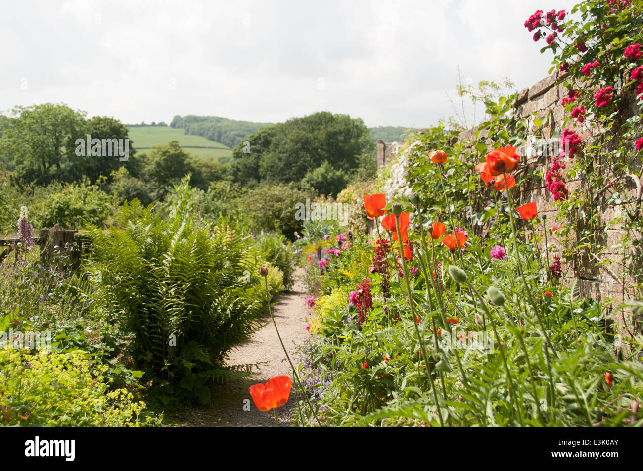 Country house flower garden in the english summertime Stock Photo - Alamy