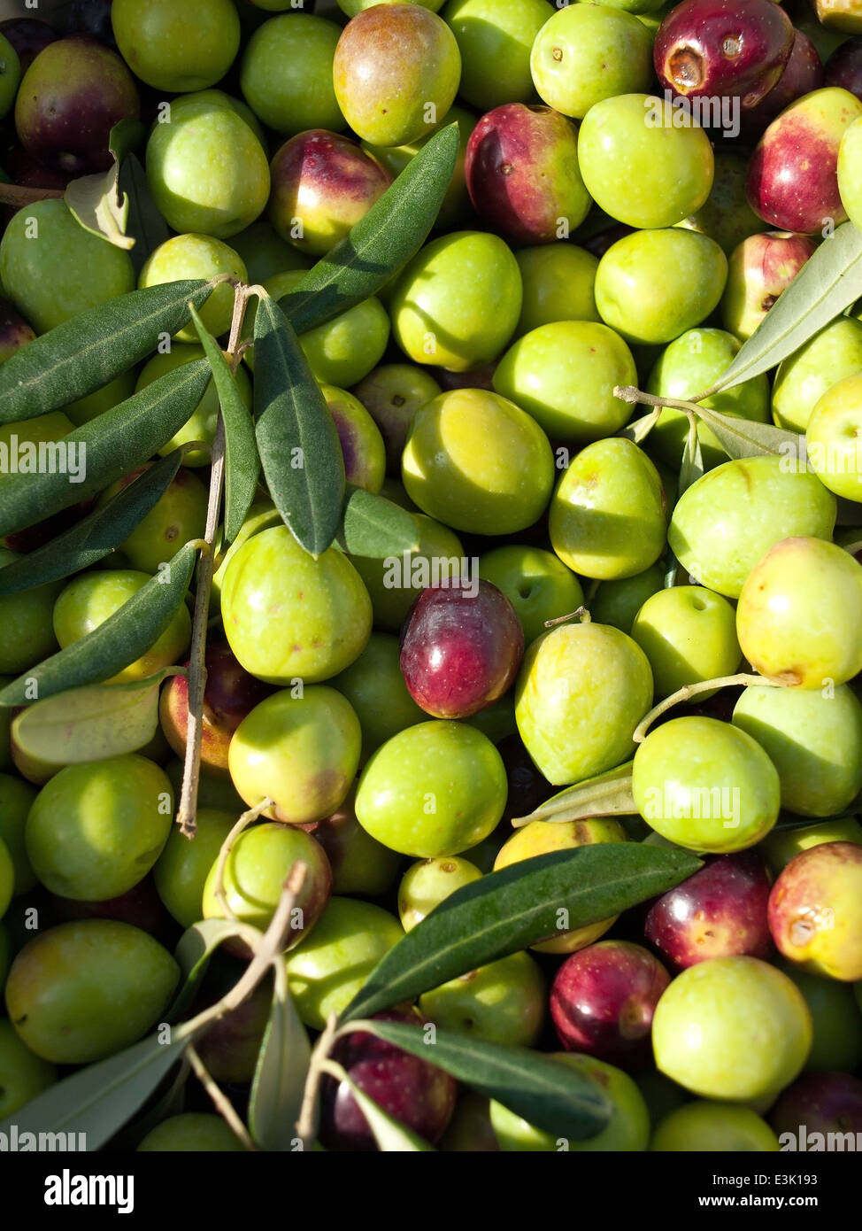 Collection of olives hi-res stock photography and images - Alamy