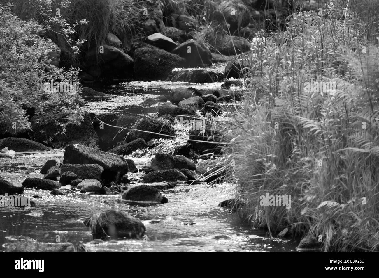 A Mountain Stream, Ballypatrick Forest County Antrim Northern Ireland ...