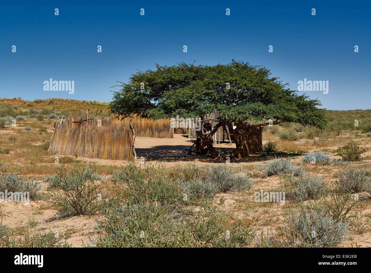 San or Bushmen village, Kgalagadi Transfrontier Park, Kalahari, South ...