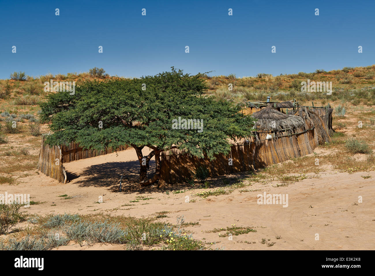 San or Bushmen village, Kgalagadi Transfrontier Park, Kalahari, South ...