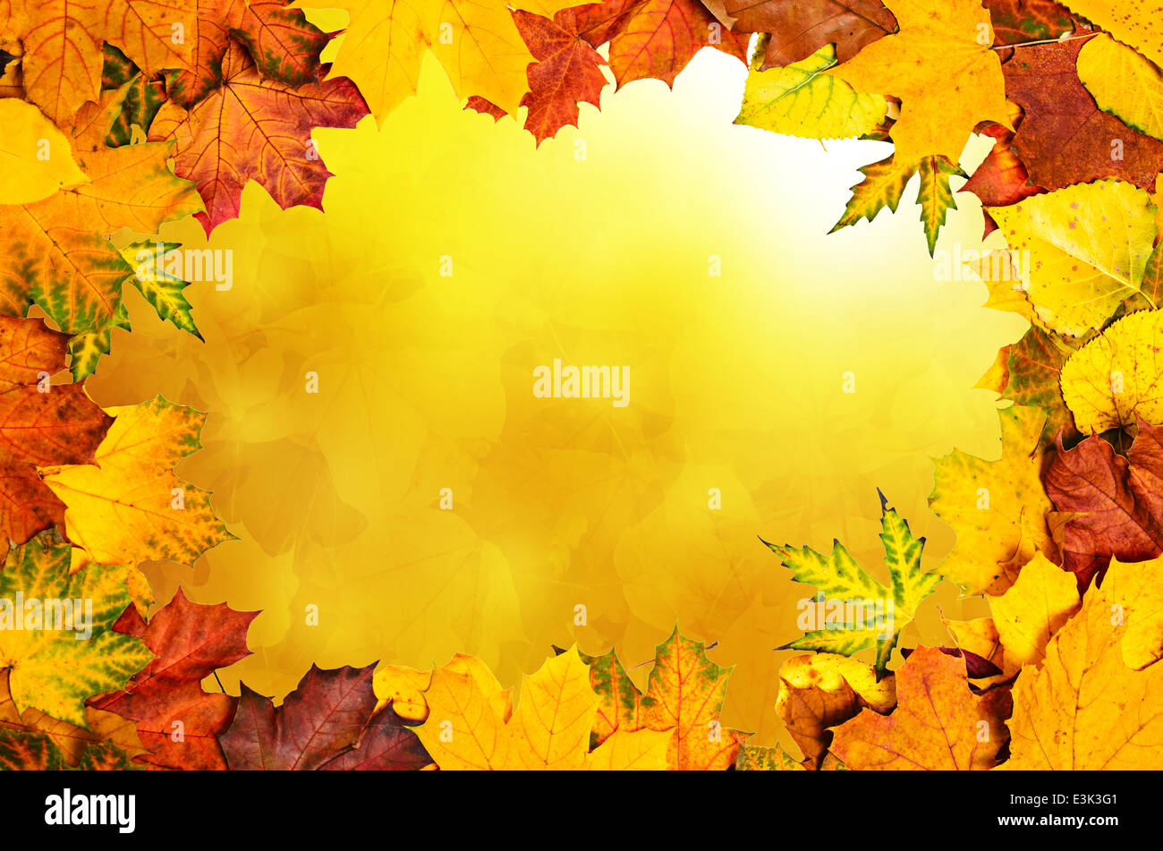 Autumn leaves frame Stock Photo - Alamy