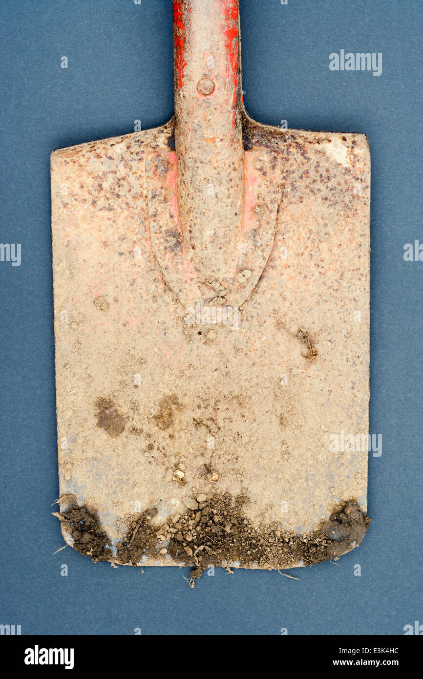 Garden spade head with mud, on blue background Stock Photo - Alamy