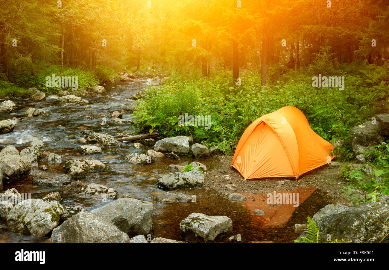 Camping in the Forest Stock Photo - Alamy