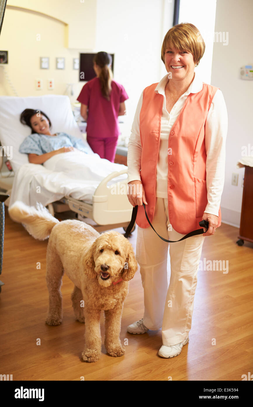 Portrait Of Pet Therapy Dog Visiting Female Patient In Hospital Stock ...