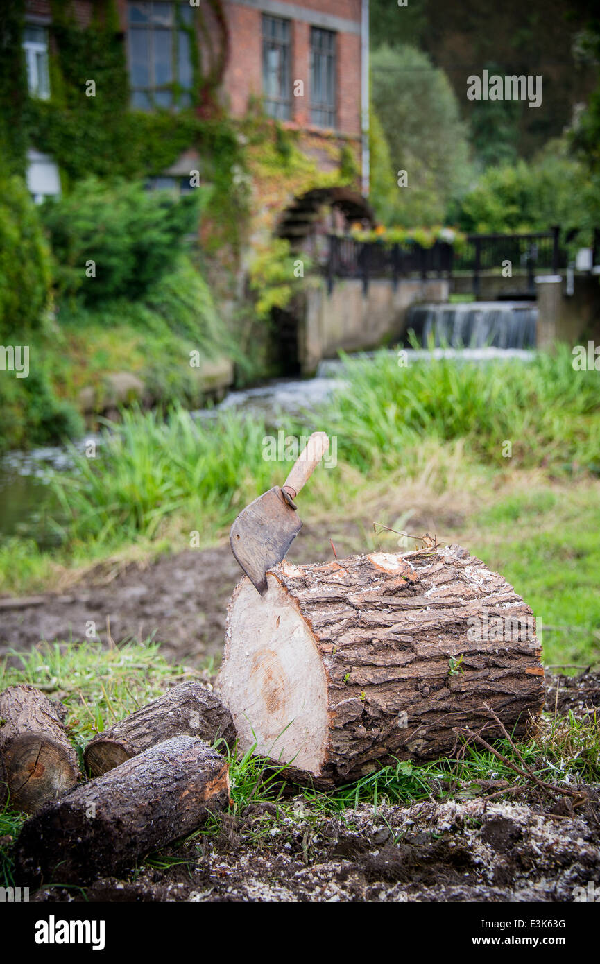 Split wood and grass hi-res stock photography and images - Alamy