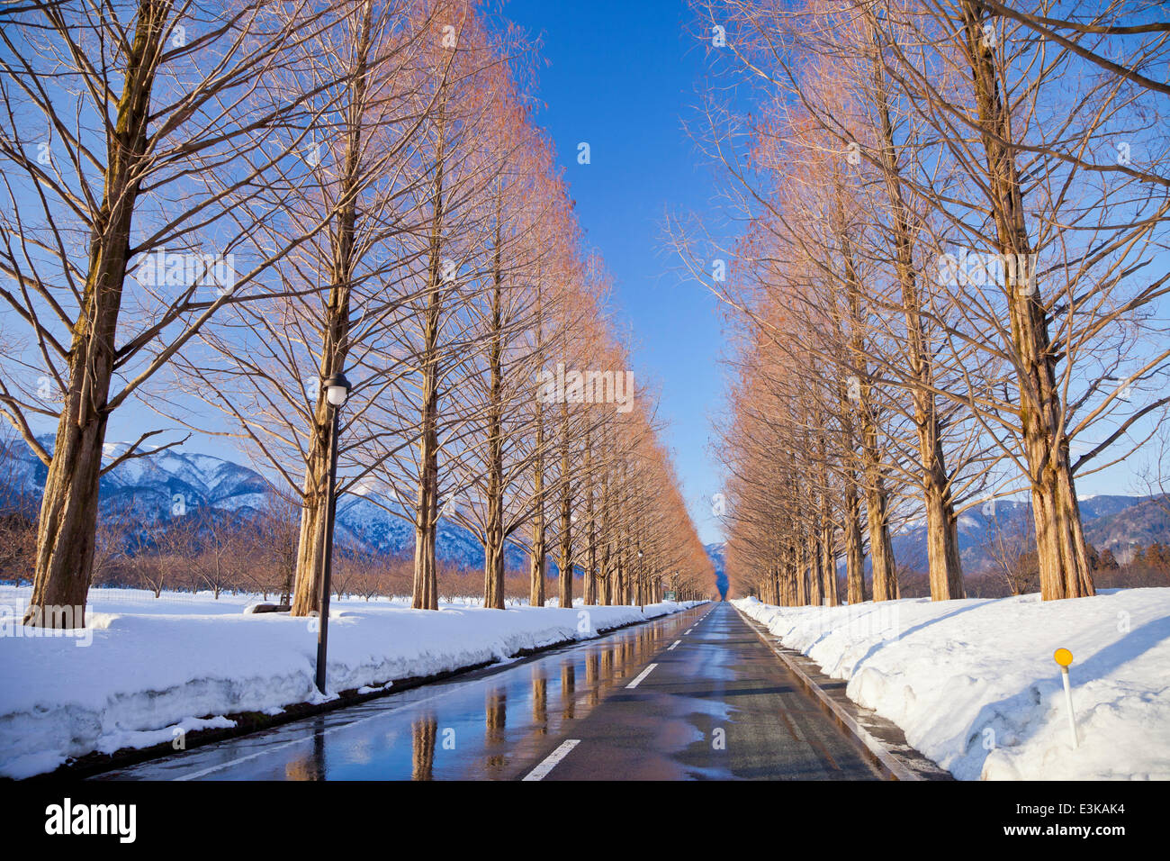 Shiga Prefecture, Japan Stock Photo - Alamy