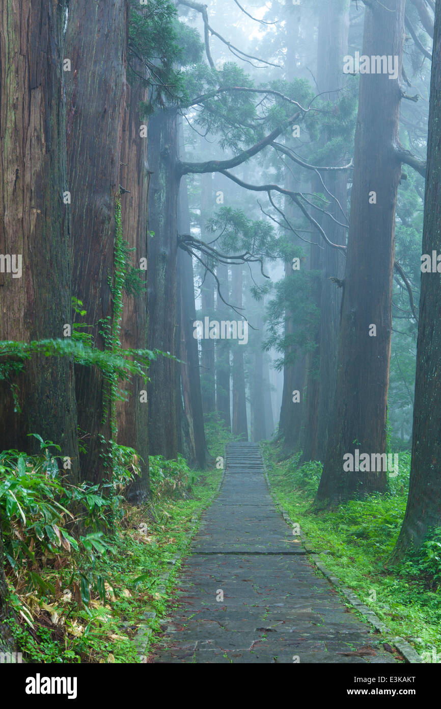 Greenery Stock Photo - Alamy