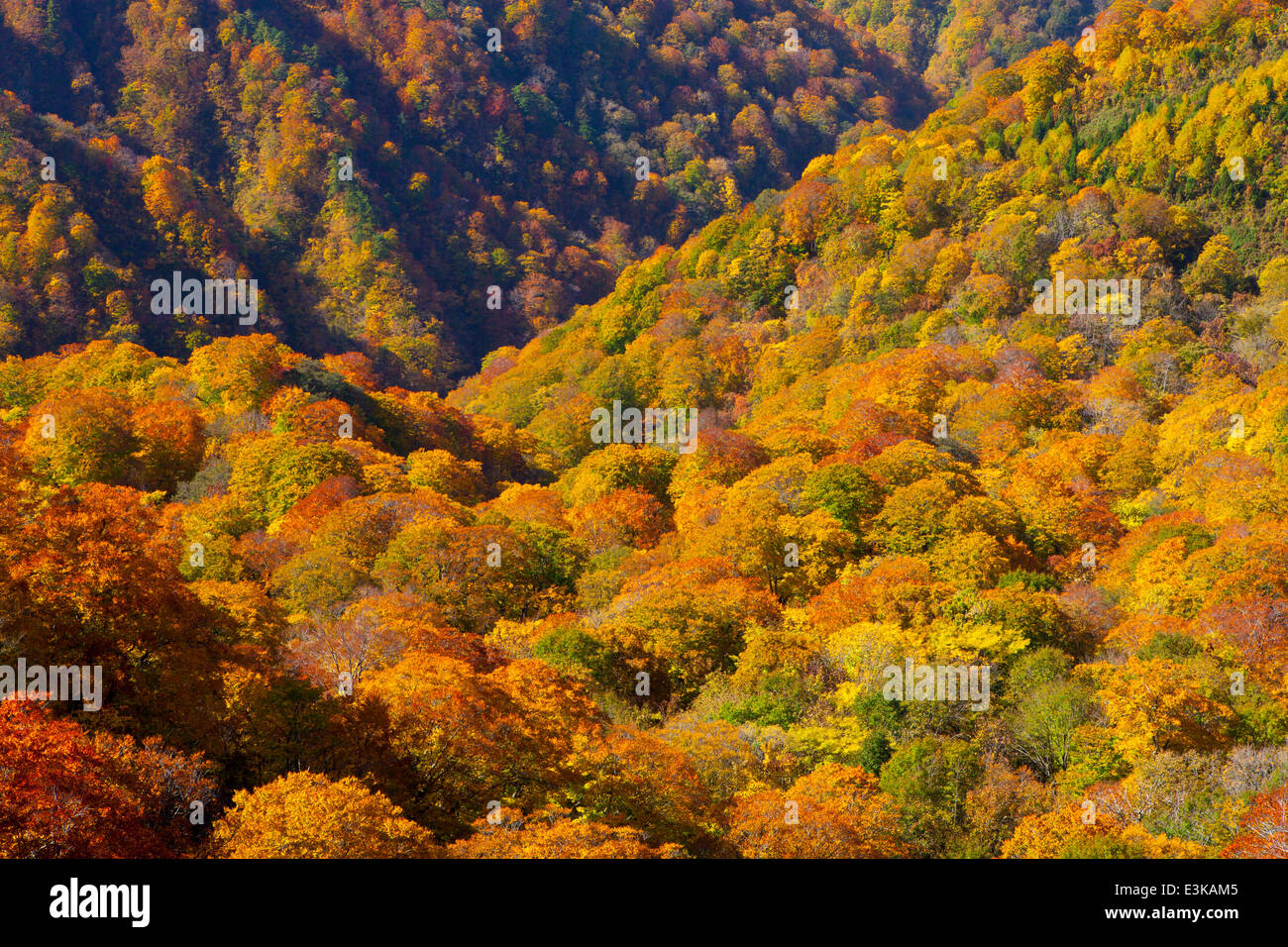 Shirakami tengu mountain hi-res stock photography and images - Alamy