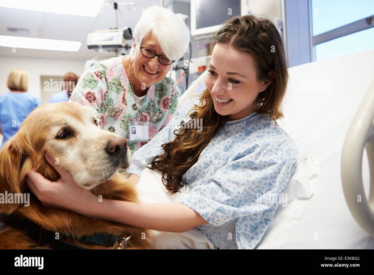 Therapy Dog Visiting Young Female Patient In Hospital Stock Photo - Alamy