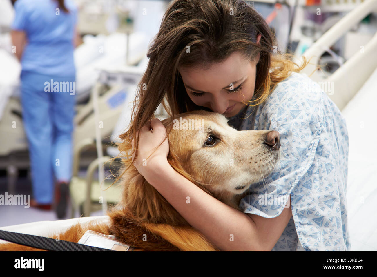 Where Can A Therapy Dog Go