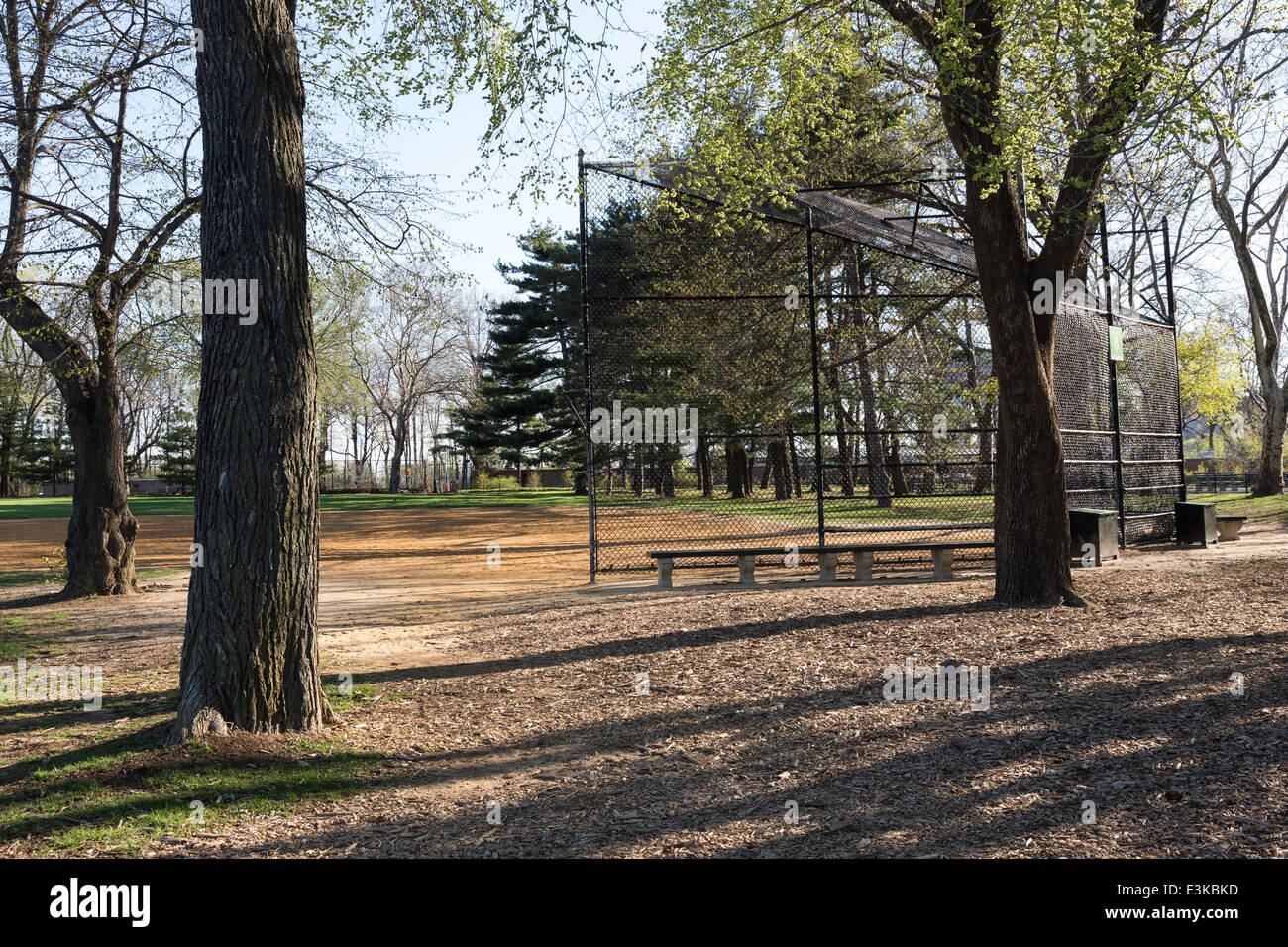 Arthur Ross Pinetum in Central Park, NYC, USA Stock Photo - Alamy