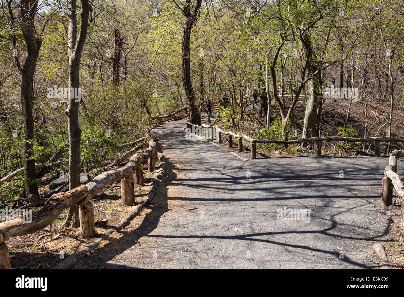 Pathway,The Ramble, Central Park, NYC, USA Stock Photo - Alamy