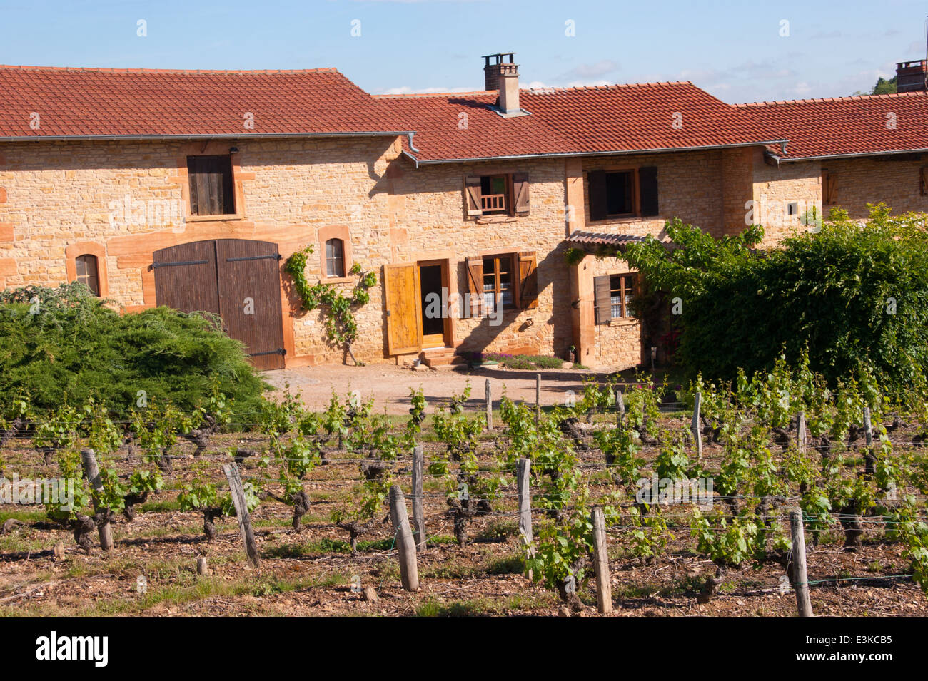 Charnay france hi-res stock photography and images - Alamy