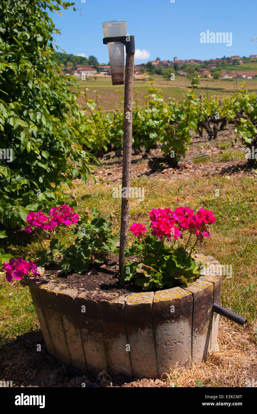 Charnay france hi-res stock photography and images - Alamy