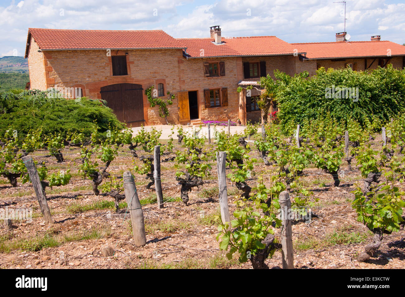 Charnay france hi-res stock photography and images - Alamy