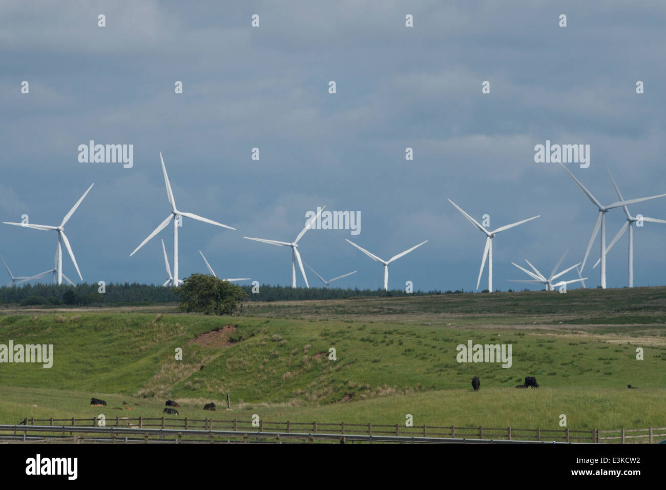 Fenwick moor hi-res stock photography and images - Alamy