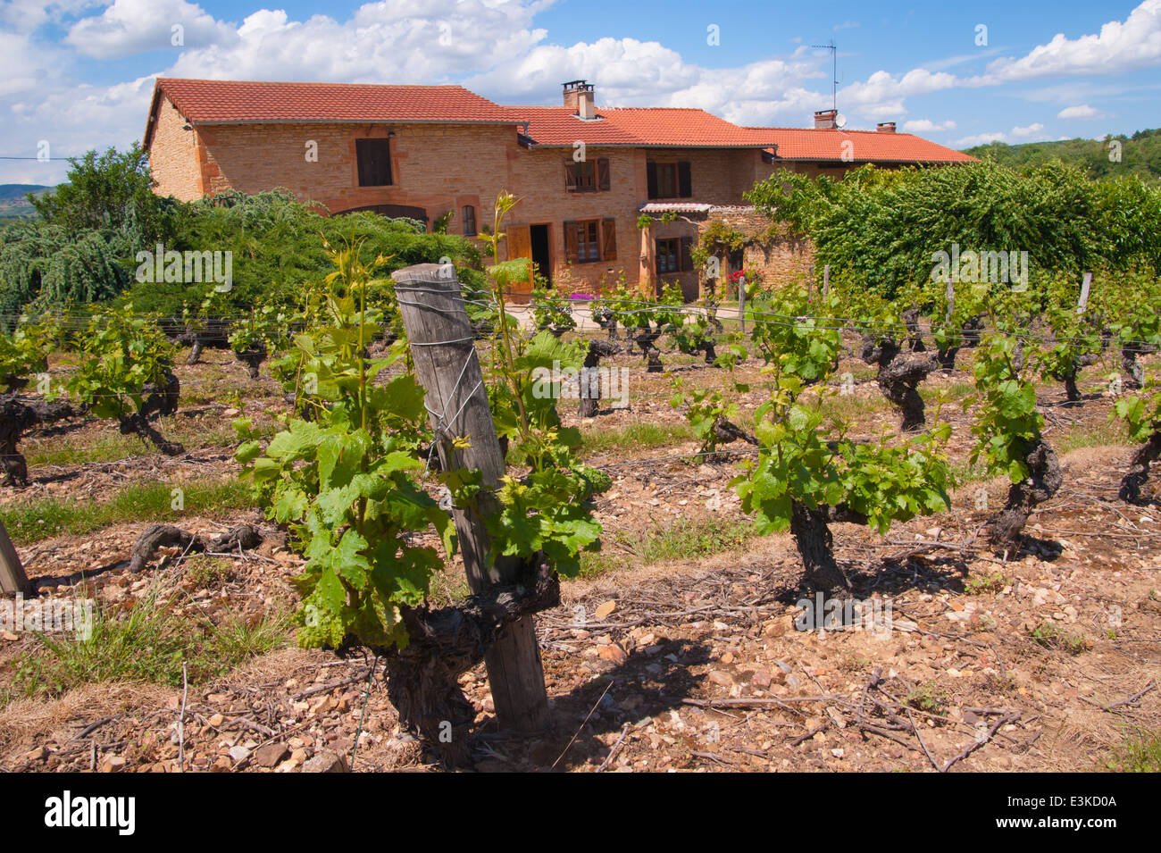 Charnay france hi-res stock photography and images - Alamy