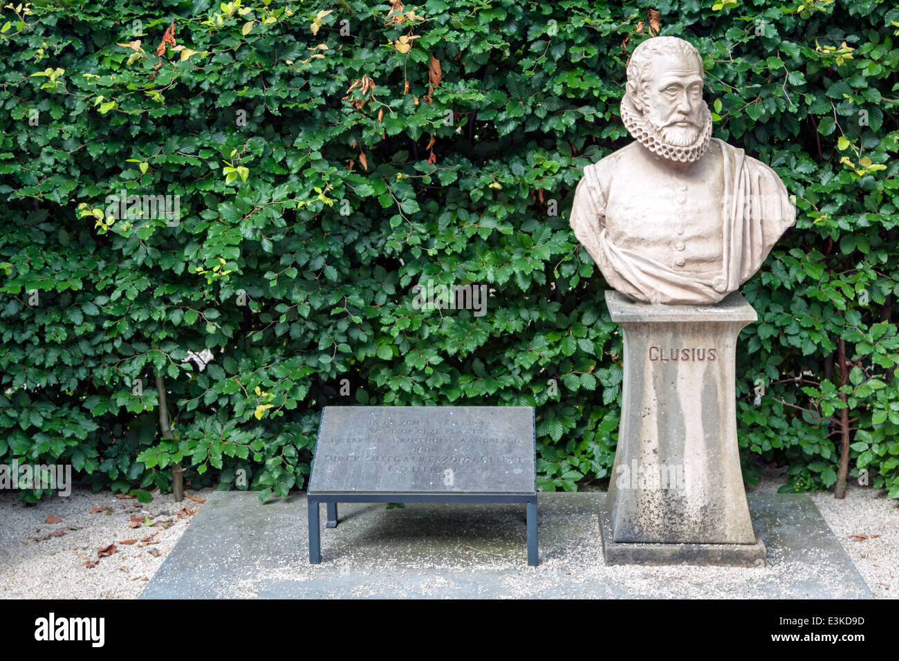 The statue of the botanist Carolus Clusius (1526–1609) at Hortus ...