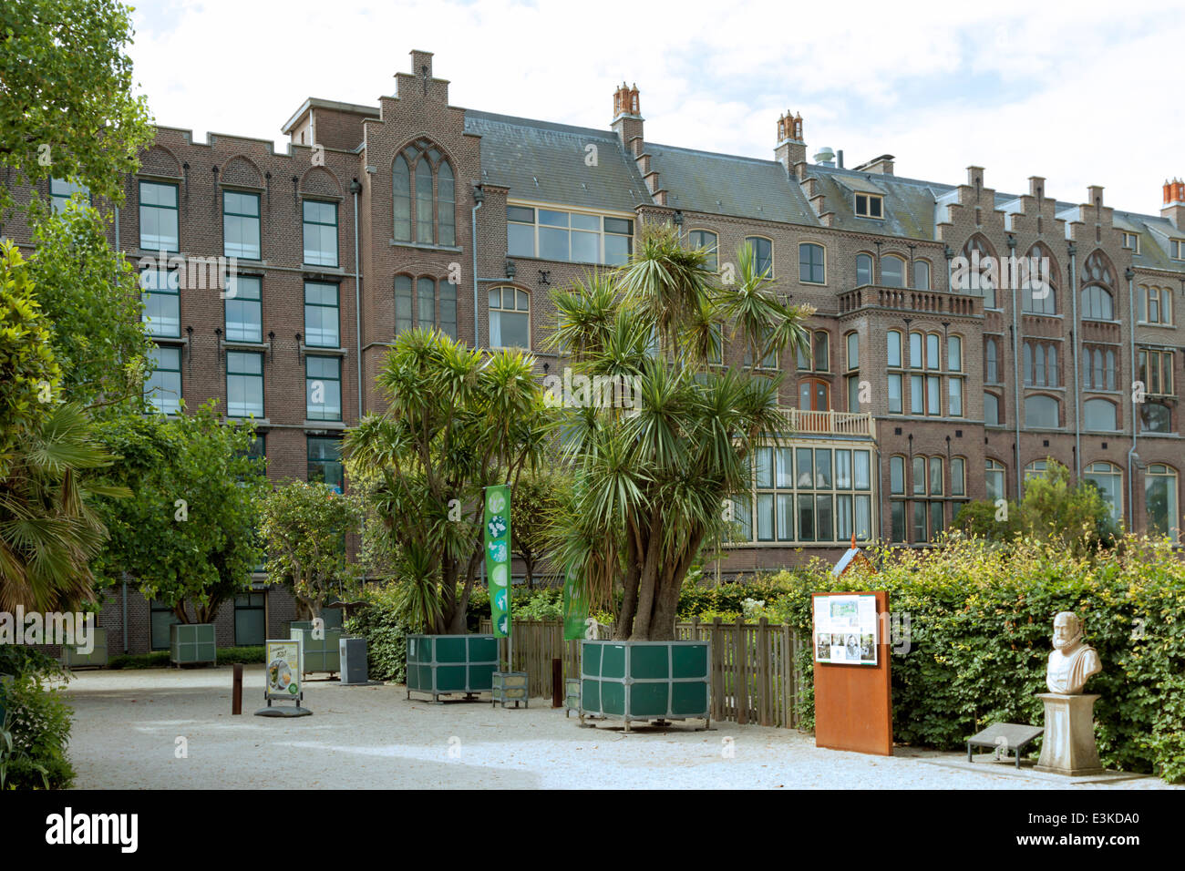 Statue of Carolus Clusius at Hortus Botanicus, the botanical garden of ...