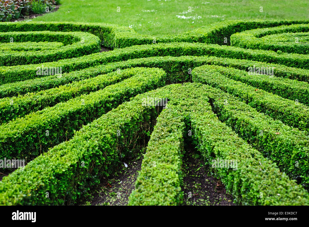 Maze garden hi-res stock photography and images - Alamy