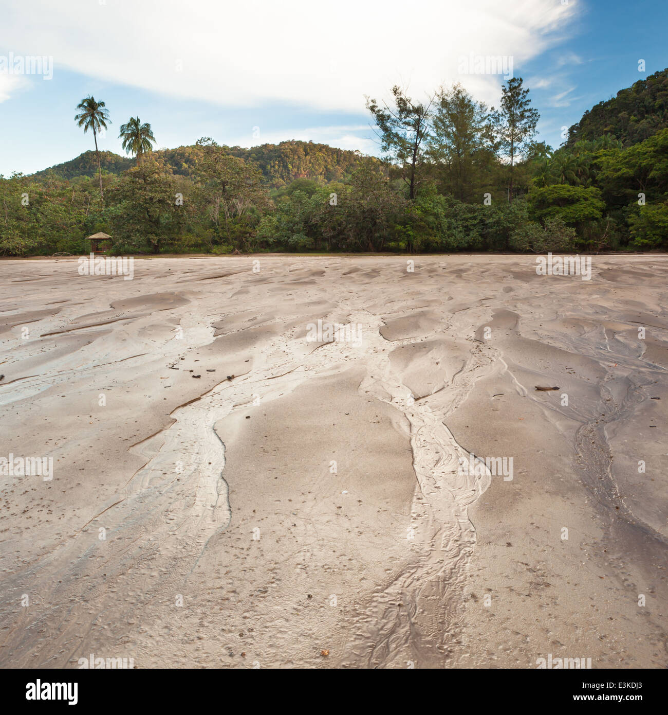 Beach at bako national park Stock Photo - Alamy